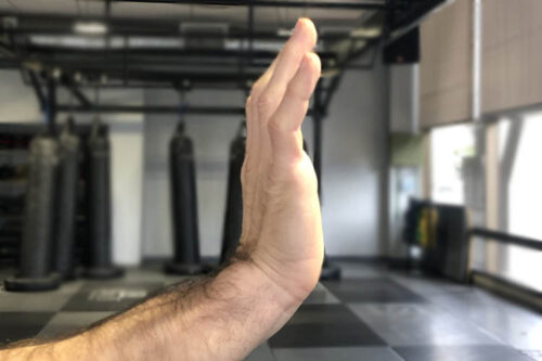 Krav Maga Striking - Hands | Krav Maga - L.A.
